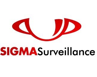 Logopond - Logo, Brand & Identity Inspiration (Sigma Surveillance)