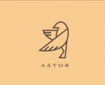 Logopond - Logo, Brand & Identity Inspiration (ASTOR)